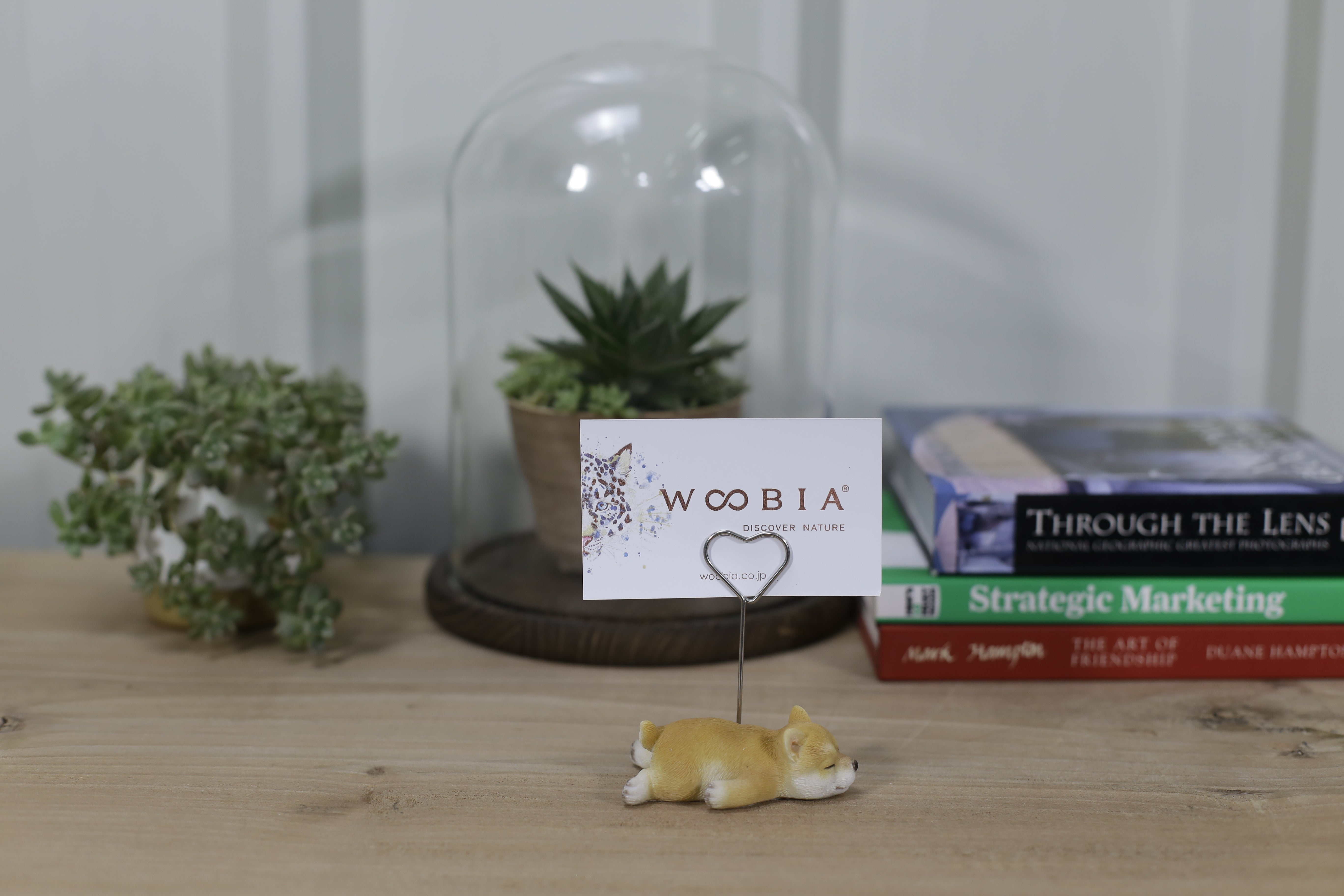Gift - ギフト｜WooBia公式オンラインショップ – Page 5 – WooBia（ウービア ）｜公式オンラインストア