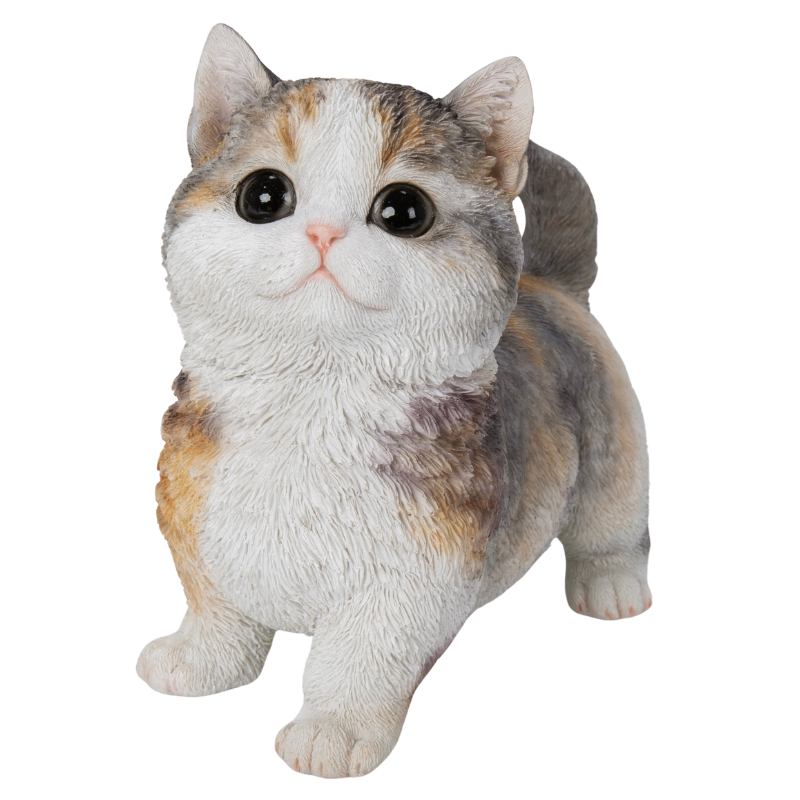 マンチカン 茶白黒｜WooBia公式オンラインショップ – WooBia（ウービア ）｜公式オンラインストア