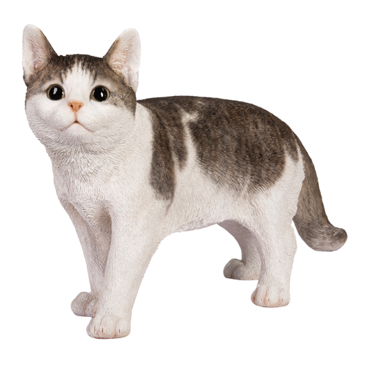 商品 – Page 22 – WooBia（ウービア ）｜公式オンラインストア