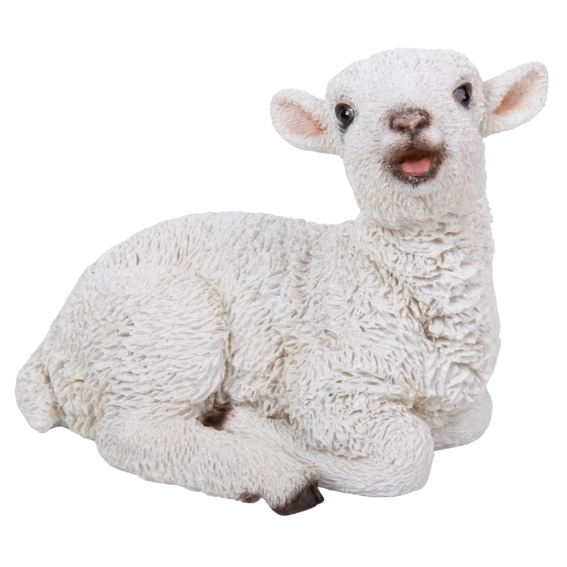 Garden - ガーデニング｜WooBia公式オンラインショップ – Page 13 – WooBia（ウービア ）｜公式オンラインストア