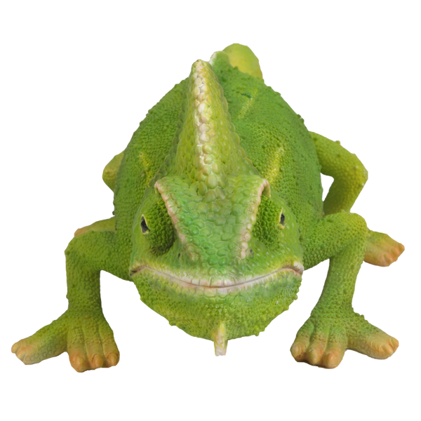 カメレオン 緑黄｜WooBia公式オンラインショップ – WooBia（ウービア ）｜公式オンラインストア