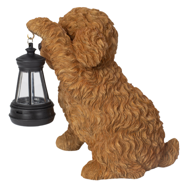 ソーラーランプを左手で持ち上げるトイプードル レッド｜WooBia公式オンラインショップ – WooBia（ウービア ）｜公式オンラインストア