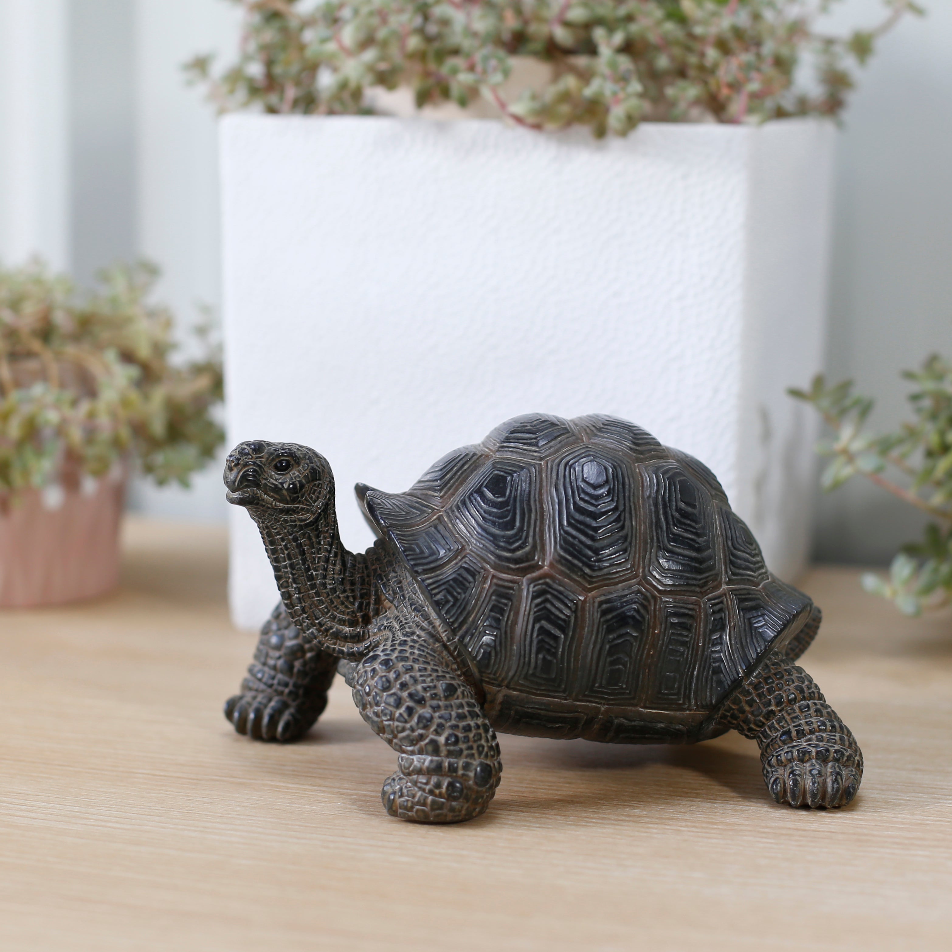 Garden - ガーデニング｜WooBia公式オンラインショップ – Page 9 – WooBia（ウービア ）｜公式オンラインストア