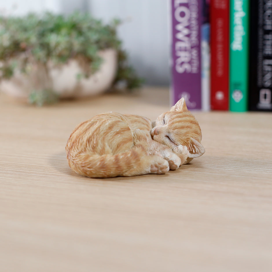 商品 – Page 8 – WooBia（ウービア ）｜公式オンラインストア