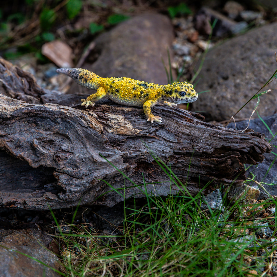 商品 – Page 15 – WooBia（ウービア ）｜公式オンラインストア