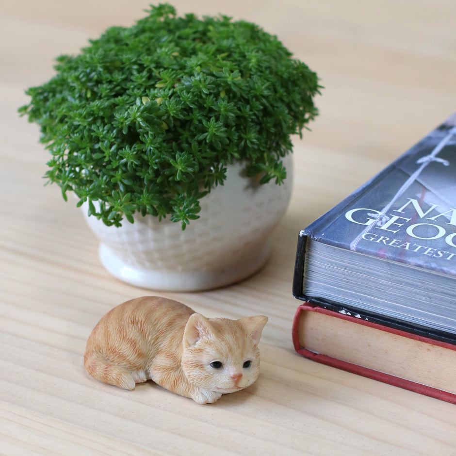 商品 – Page 3 – WooBia（ウービア ）｜公式オンラインストア