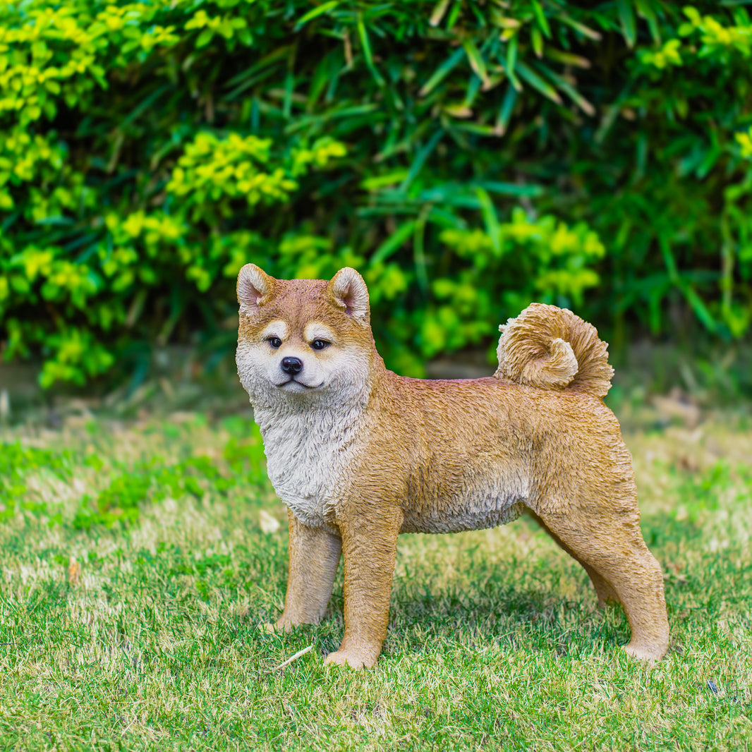 Large size – Page 4 – WooBia（ウービア ）｜公式オンラインストア