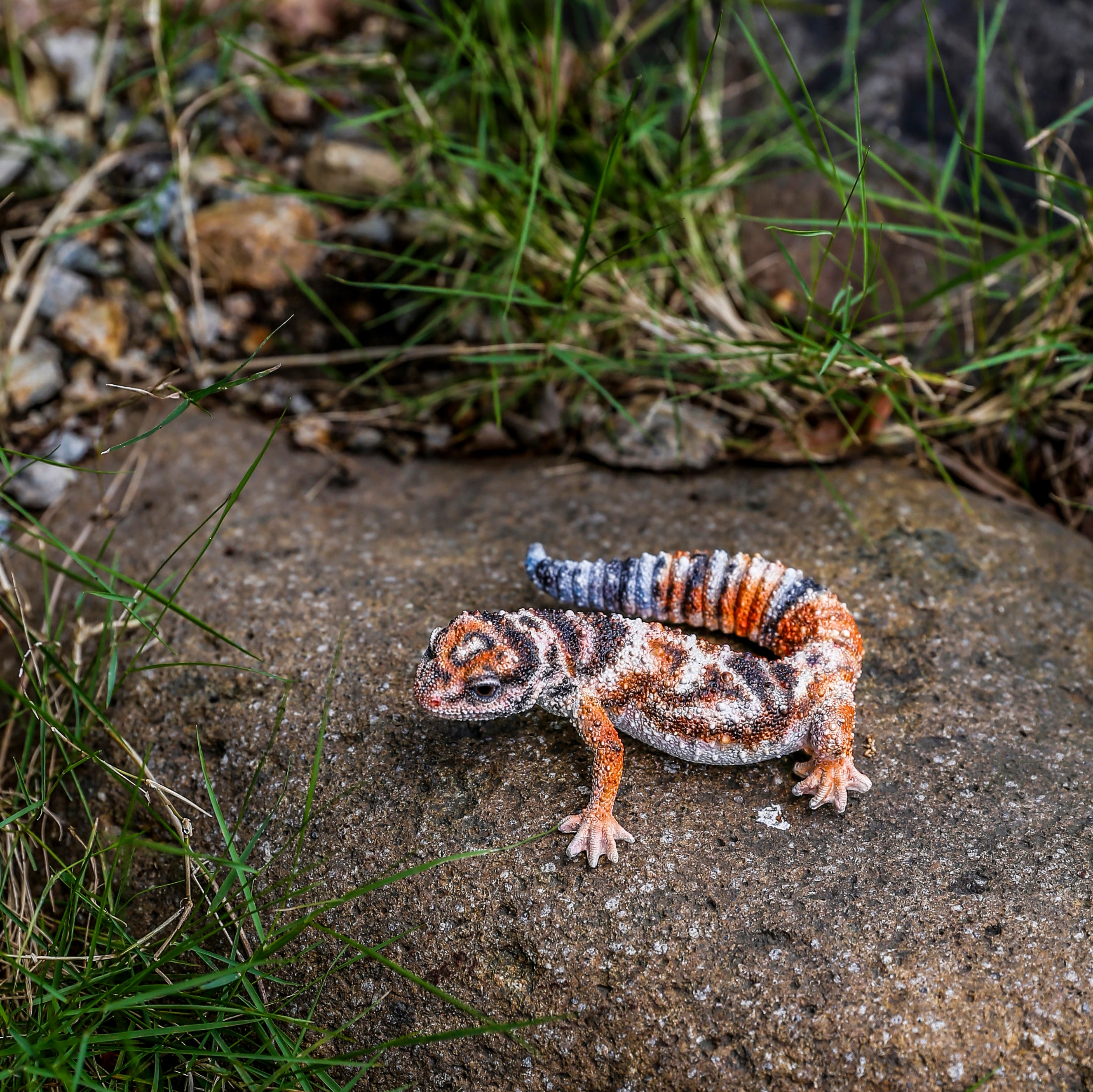 商品 – Page 14 – WooBia（ウービア ）｜公式オンラインストア