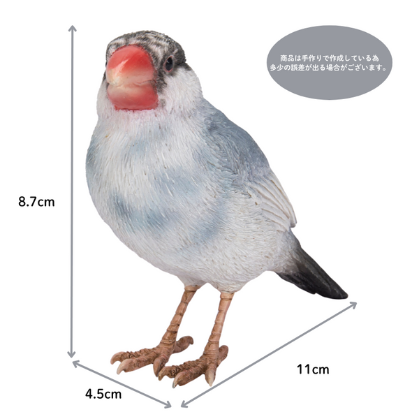 桜文鳥｜WooBia公式オンラインショップ – WooBia（ウービア ）｜公式オンラインストア